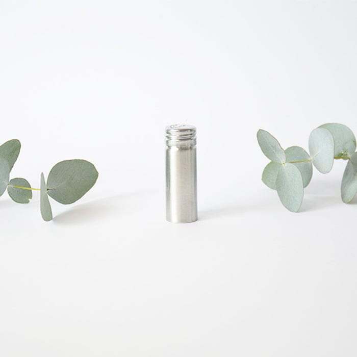 Natural Silk Dental Floss with Stainless Steel Jar - Mint – BeEco