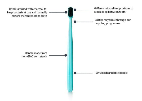Biodegradable Toothbrush Twin Pack - Soft – BeEco